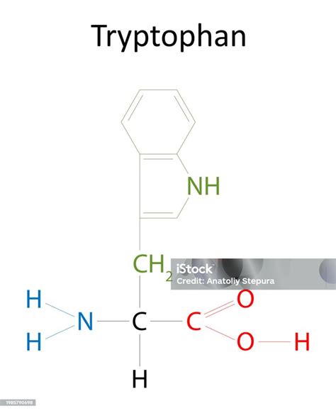 The Chemical Structure Of Tryptophan Stock Illustration Download
