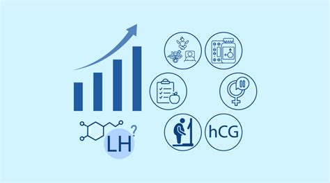 How To Increase Luteinizing Hormone Female Male Foods