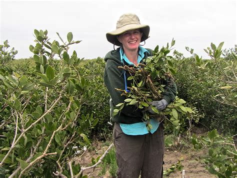 World Wetlands Day Q A With Dr Anna Armitage Bldg