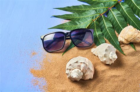 검은 색 선글라스 큰 녹색 잎과 파란색 긁힌 콘크리트에 흩어져 마른 모래 근처 조개 행 텍스트를 위한 공간 감금 상태에 대한