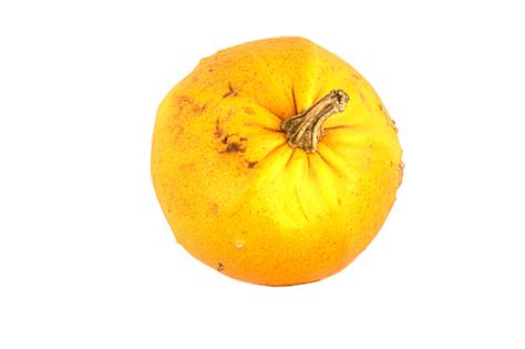 줄기가있는 질감으로 흰색 배경에 고립 된 작은 오렌지 호박 0명에 대한 스톡 사진 및 기타 이미지 0명 11월 Stem 주제 Istock