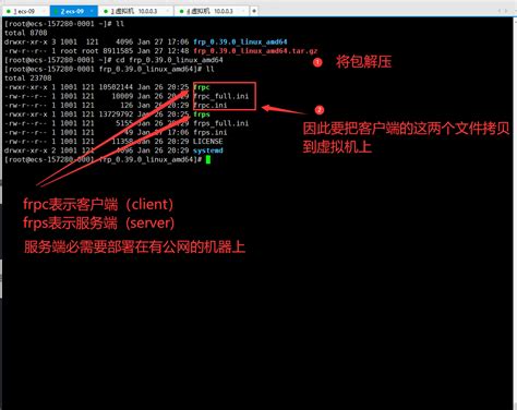 linux搭建 frp 实现内网穿透外网访问 六月OvO 博客园
