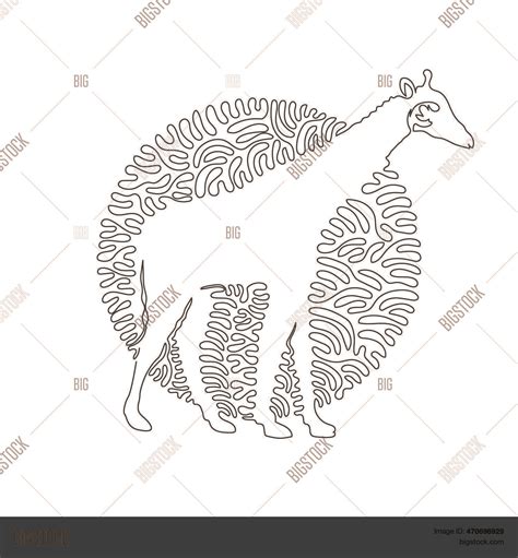 Continuous Curve One Vector And Photo Free Trial Bigstock