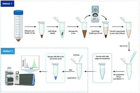 Scheme Of Sample Preparation Of Fecal Samples For Targeted Analysis Of Download Scientific