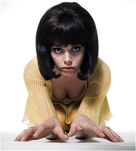 Britt Ekland Porn Pictures Xxx Photos Sex Images 1858854 Pictoa