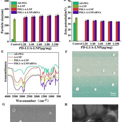 Cell Uptake Experiment A A549 Tumor Cell Uptake Assay B H460 Tumor