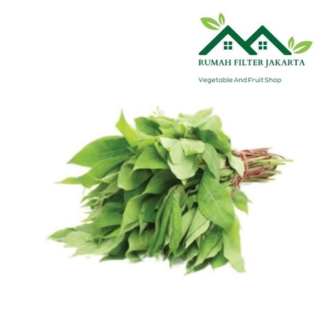 Jual Daun Singkong Proyek Muda 2ikat Shopee Indonesia