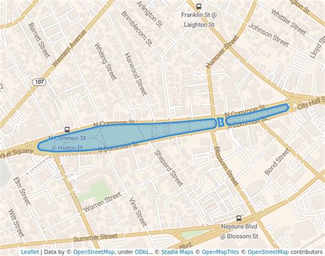 Lynn Common In Lynn Map And Routes