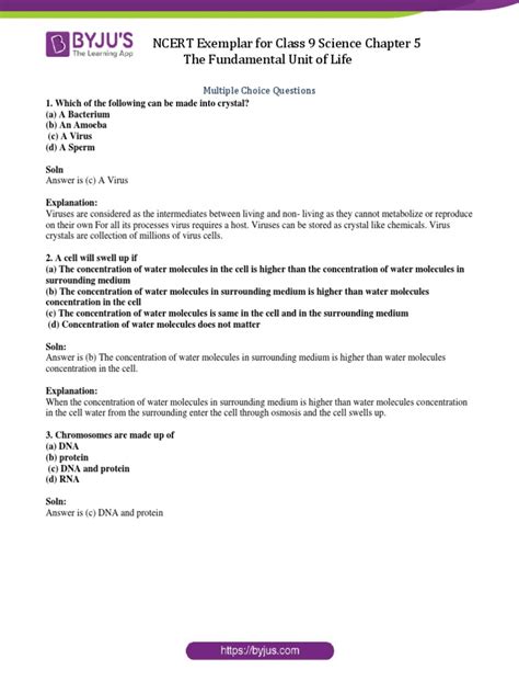 Ncert Exemplar Solution Class 9 Chapter 5 Pdf Endoplasmic Reticulum Cell Biology