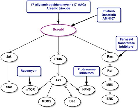 Signal Tranduction Pathways Inhibited By Imatinib And Some Of The Other
