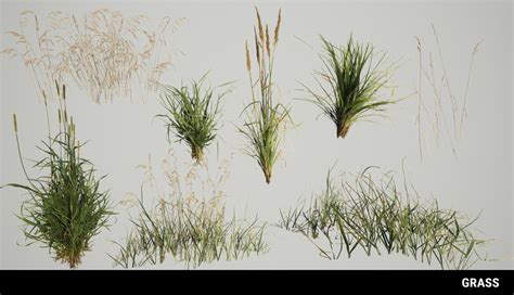 Meadow Environment Dynamic Nature