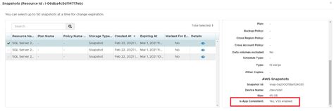 sql server on an ec2 instance powerprotect cloud snapshot manager
