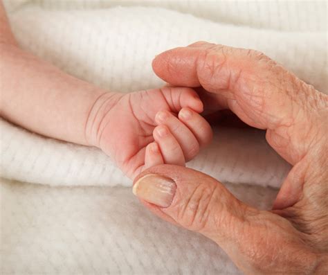 Sarah — A Shared Inheritance