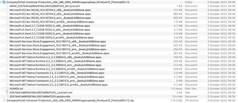 Company Portal Not Installing Automatically Nor Manually Rintune