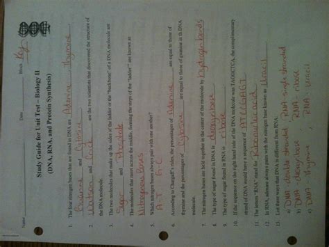 Dna Mutations Practice Worksheet Elegant Dna Mutations Practice