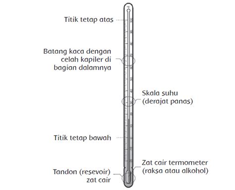 Percobaan Membuat Termometer Sederhana Mikirbae Com
