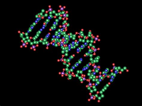 Observatory Of The Future Articulated Under Andres Agostinis Book