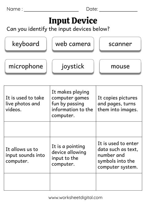 Uses Of Computer Worksheet Hardware And Software Input And Output Devices