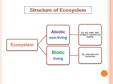 Ecosystemstructure And Function Pptx