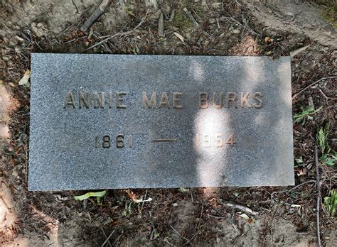 Annie Mae Wright Burks 1861 1954 Find A Grave Memorial