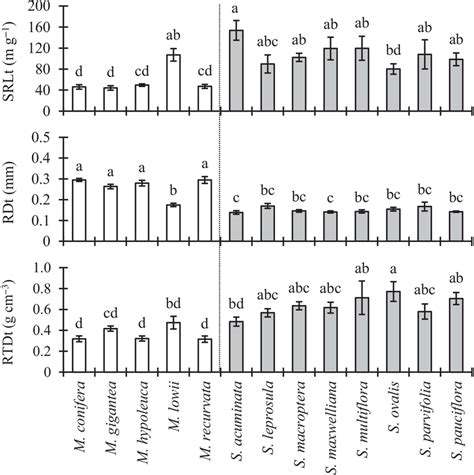 Specific Root Tip Length Srlt Root Tip Diameter Rdt And Root Tip