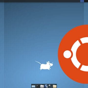 Learn How To Copy Files On Ubuntu Using The Terminal Pi My Life Up