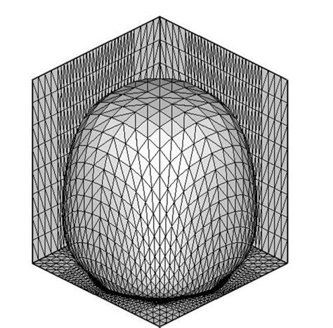 Details Of The Mesh In A Symmetric Case Created With Our Methodology