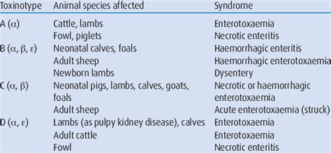 Relationship Between Clostridium Perfringens Toxinotypes And Pathologies Download Scientific