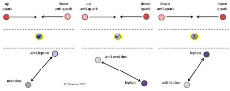 Checking Whats Inside A Proton Of Particular Significance