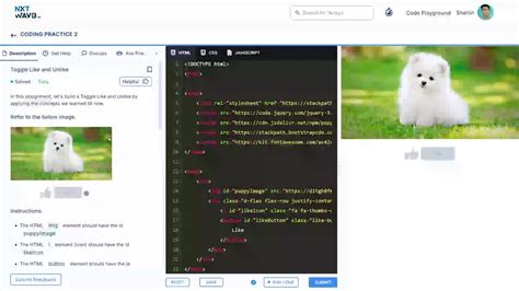 Shahin M Hashim On Linkedin Day62 100daycodingchallenge Ccbpian