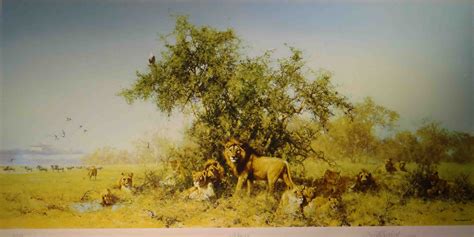 Davidshepherd Signed Limited Edition Print Africasilk