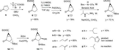 Synthesis Of The Key Aziridine Intermediate 12 And Aziridine Opening