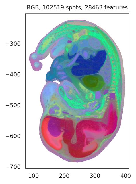 Load Stereo Seq Data Using Pysodb SOView Doc Documentation