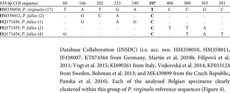 Sequence Differences At 10 Positions Of The 658 Bp Folmer Barcoding Download Scientific Diagram