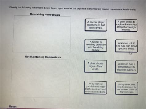 Solved Classify The Following Statements Below Based Upon