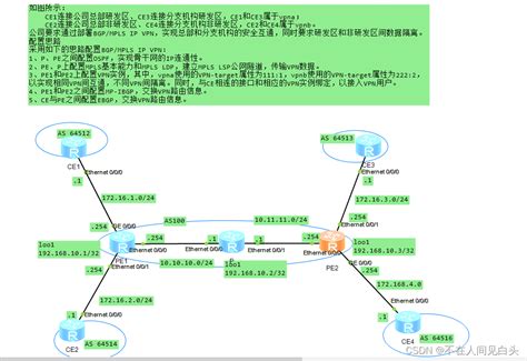 bgpmpls ip vpn示例 mpls bgp配置实例 csdn博客