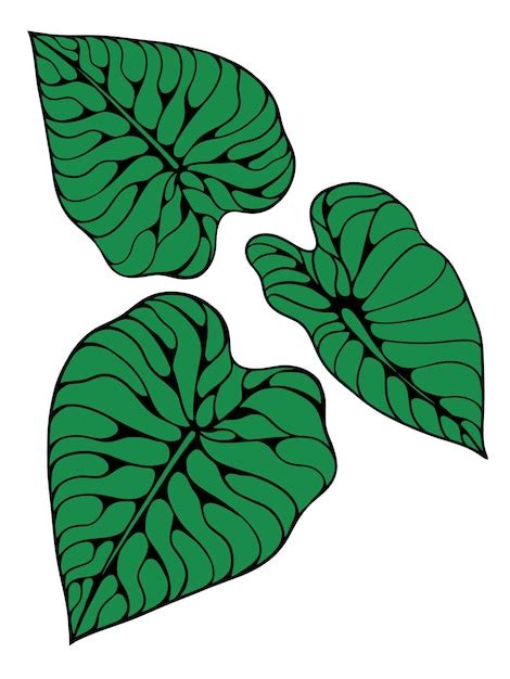 Premium Vector Vector Leaf And Twig Design