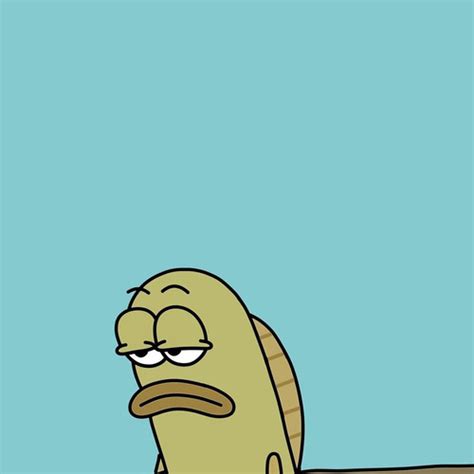 Jual Wallpaper Ikan Capek Animasi Spongebob Squarepants Kota Mataram