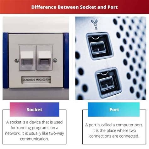 Difference Between File Descriptors And Socket At Melvin Cameron Blog