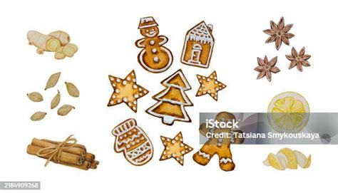 수채화 크리스마스 진저 브레드 세트와 향신료 생강 계피 카 다몬 레몬 레몬 제스트 스타 아니스 화이트 아이싱 흰색 배경에 고립되어 있습니다 12월에 대한 스톡 벡터 아트 및