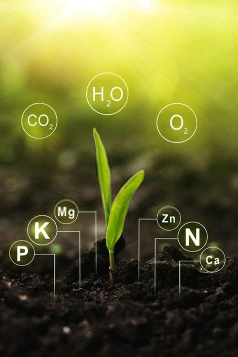 Всемирная охрана окружающей среды Зеленая энергия Экология Инфографика Баннер с копией