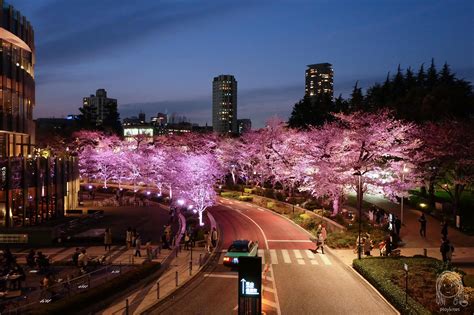 Tokyo Midtown Roppongi Tokyo Midtown Tokyo Marina Bay Sands