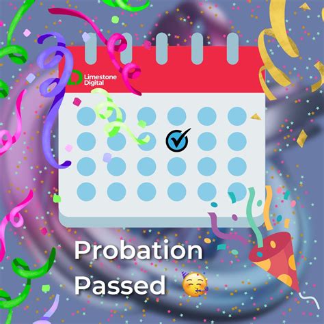 Fullstackdeveloper Careergrowth Teamwork Innovation Onboardingprocess Illia Chuiev