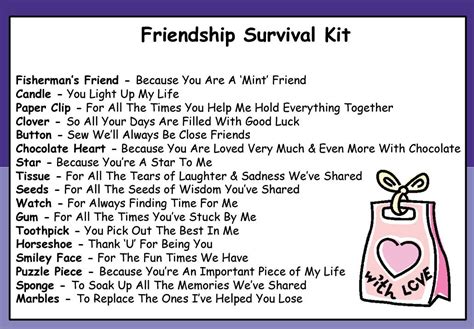 Survival Kit For Friends Best Friend Cards Survival Kit Ts Cards