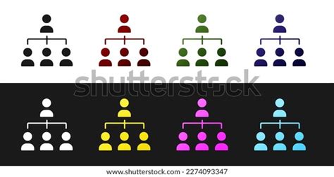 Set Business Hierarchy Organogram Chart Infographics Stock Vector Royalty Free