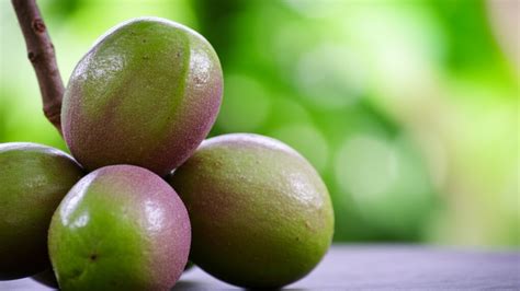 Intip 24 Manfaat Buah Kenitu Yang Jarang Diketahui