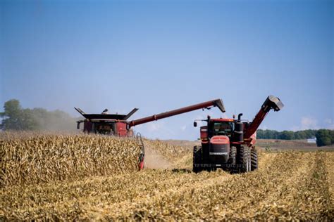 Ibc Totes 5 Types Of Ibc Containers