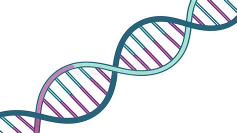 Dna Helix Structure Symbol Of Genetics Science And Life S Blueprint Vector Design Generative