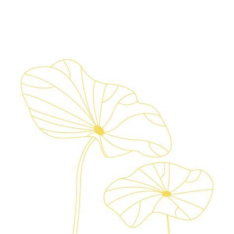 선화 연잎 선화 선묘 로터스 Png 일러스트 및 Psd 이미지 무료 다운로드 Pngtree