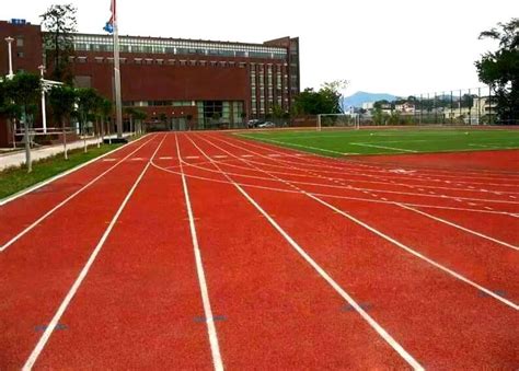 东莞市明珠实验学校 惠州市九游会旗舰厅体育设施有限公司